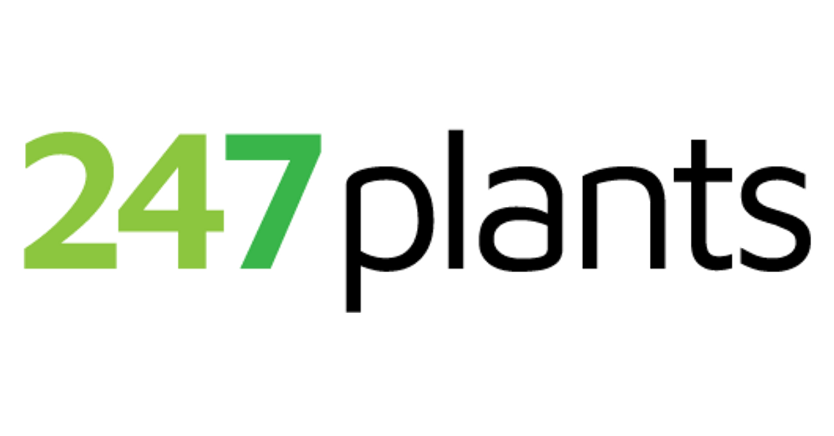 Outdoor Plants – 247plants